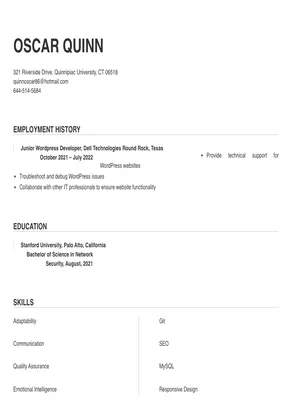 Wordpress Developer Resume Sample & Tips | Online Resume Builder